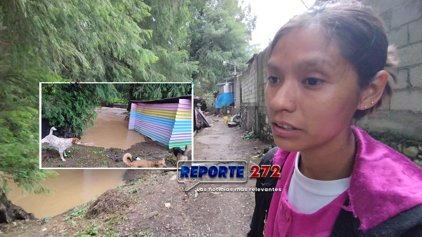 En riesgo 80 perritos del refugio Nazareth ante la creciente del río Blanco – Reporte 272