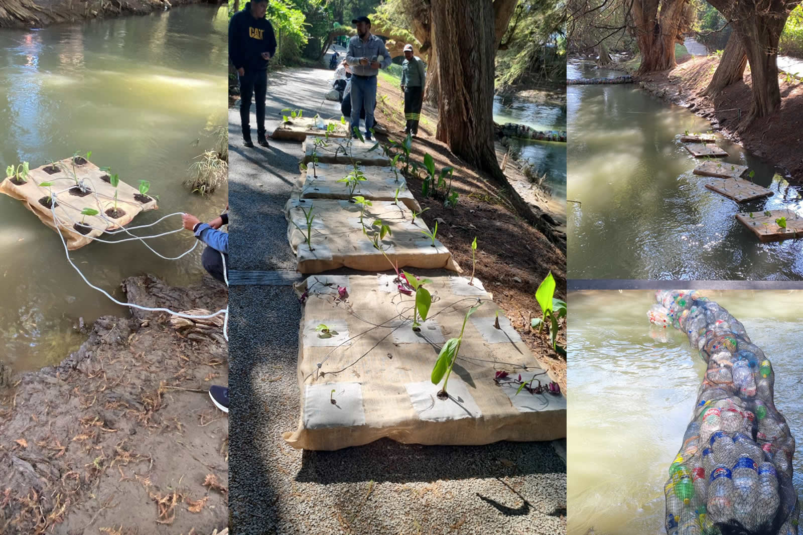 Humedales de Ciudad de los Ahuehuetes publicados en artículo de ...